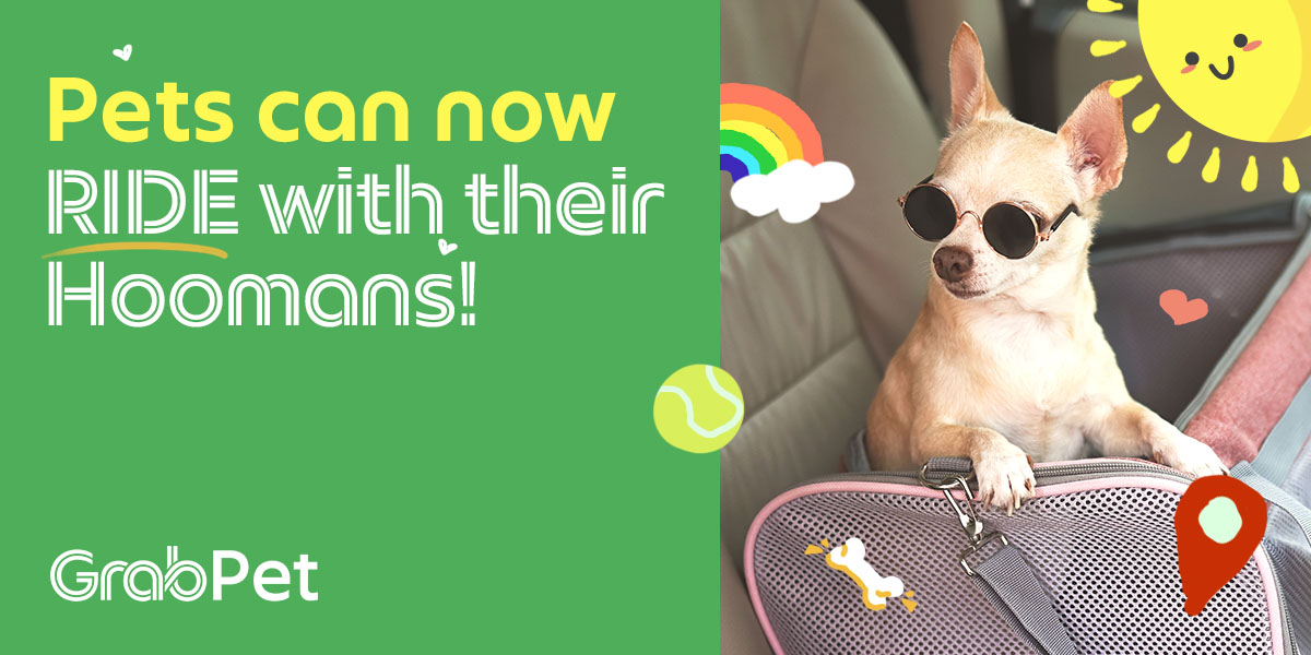 Grab has reintroduced GrabPet, bringing joy to Filipino pet owners ...